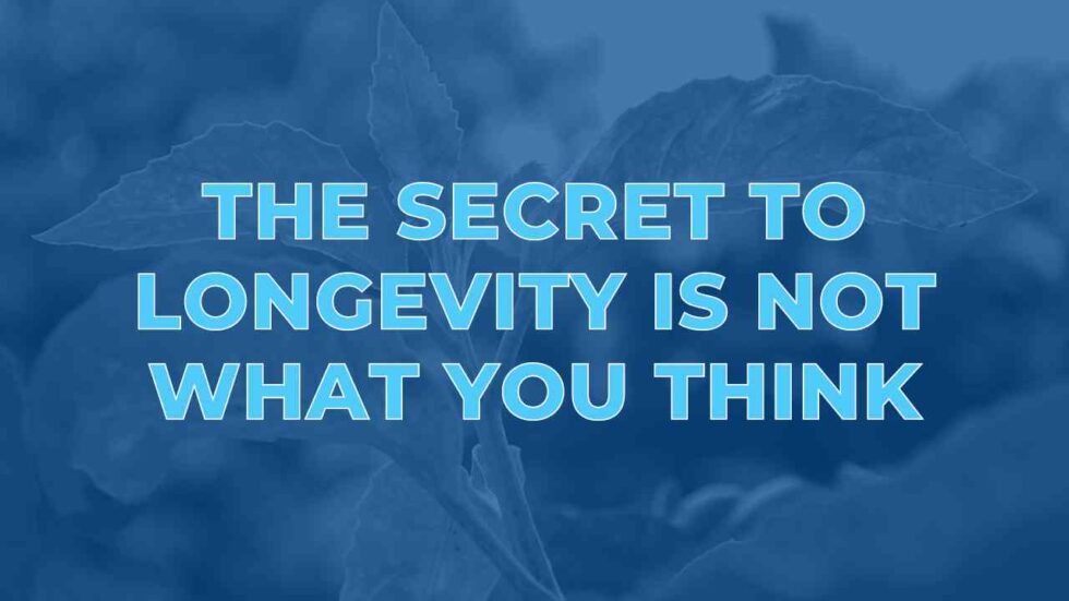 The Secret to Longevity Is Not What You Think